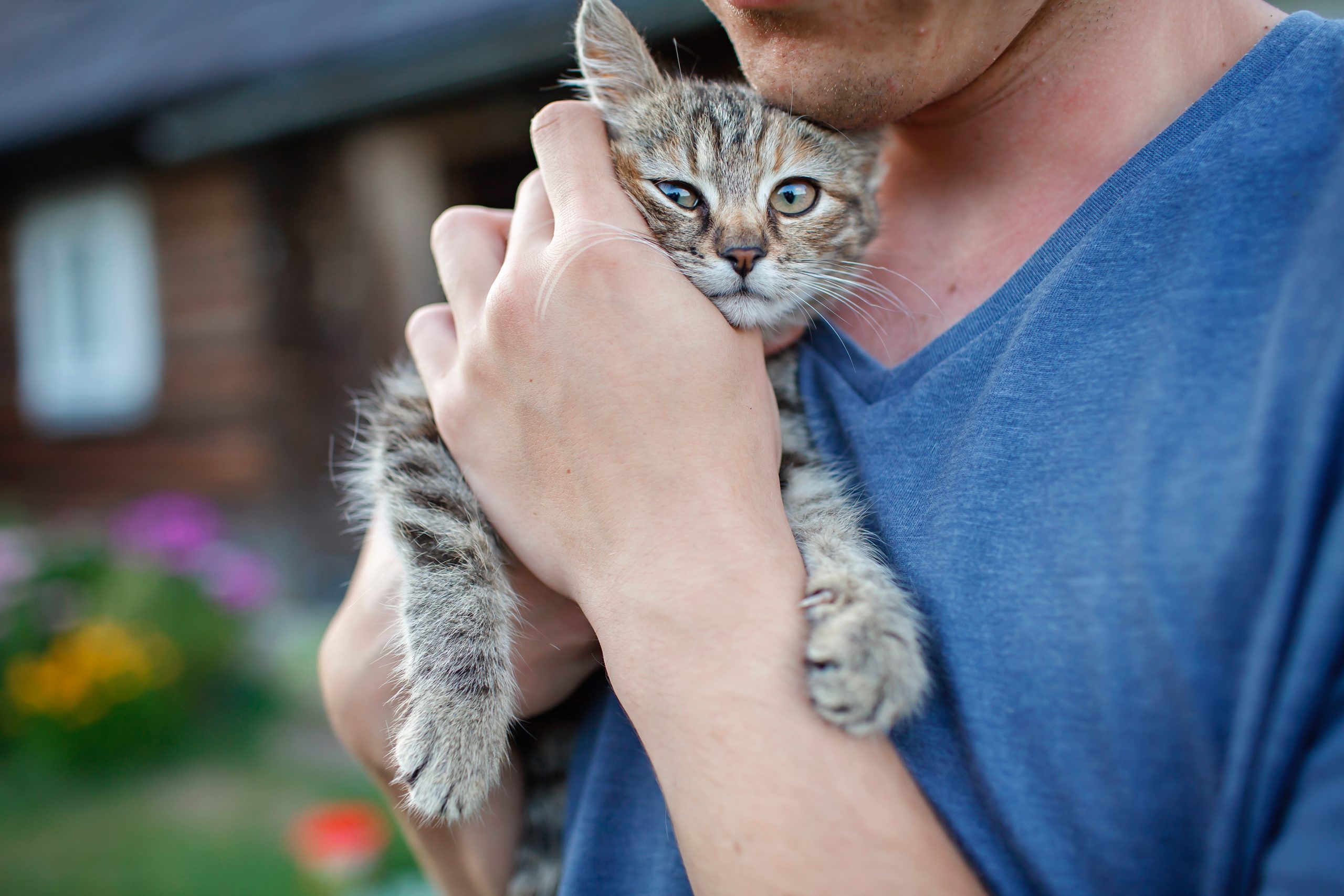 Resources for Pet Owners Facing Surrender - PetBridge